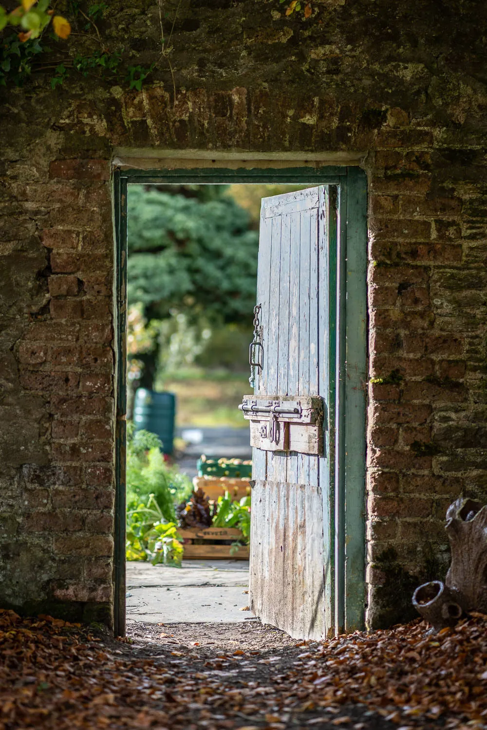 The Rich History of Castle Grove: A Journey Through Time