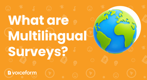 Multilingual Surveys: Meaning and Examples