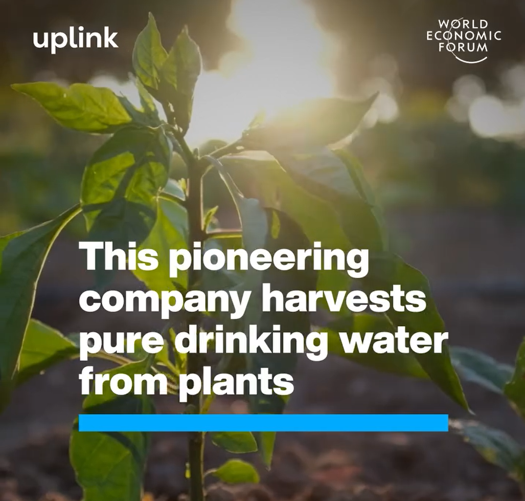 Botanical Water Technologies Ltd