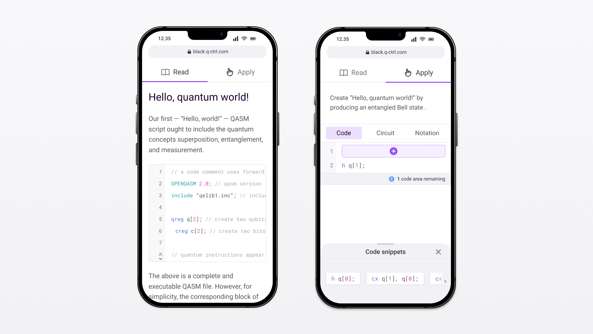 Learn quantum computing anytime, anywhere, on any device with Black Opal | Q-CTRL