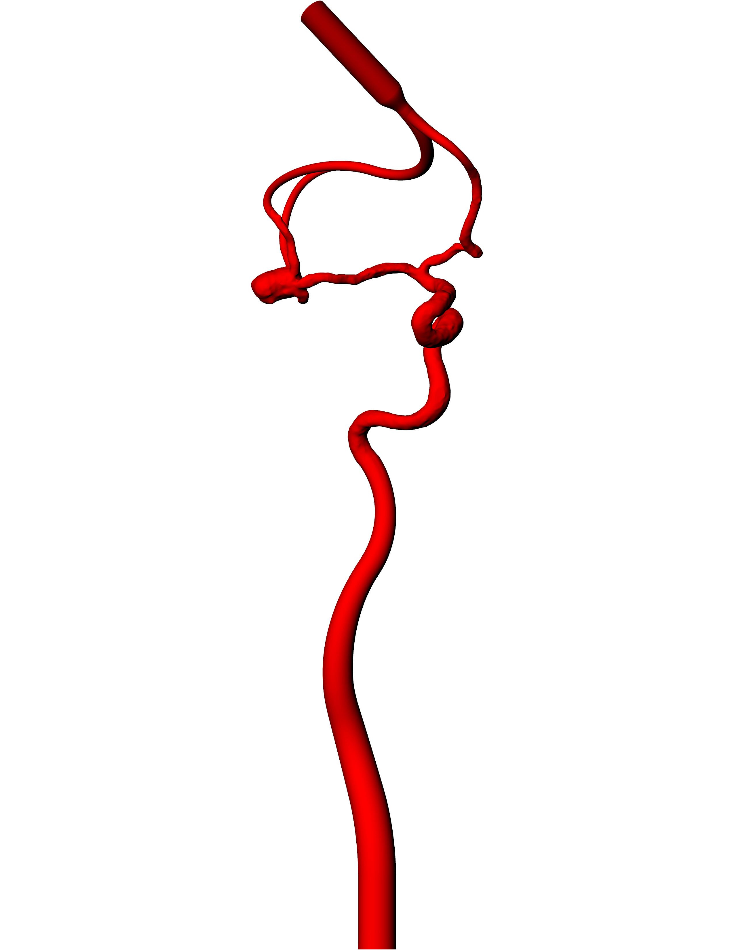 AN112 | Vessel Library