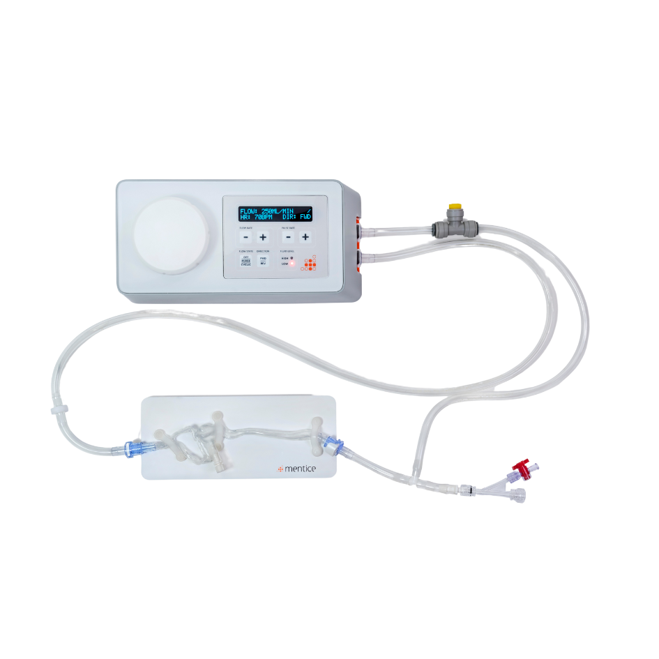 Physiological Flow Systems