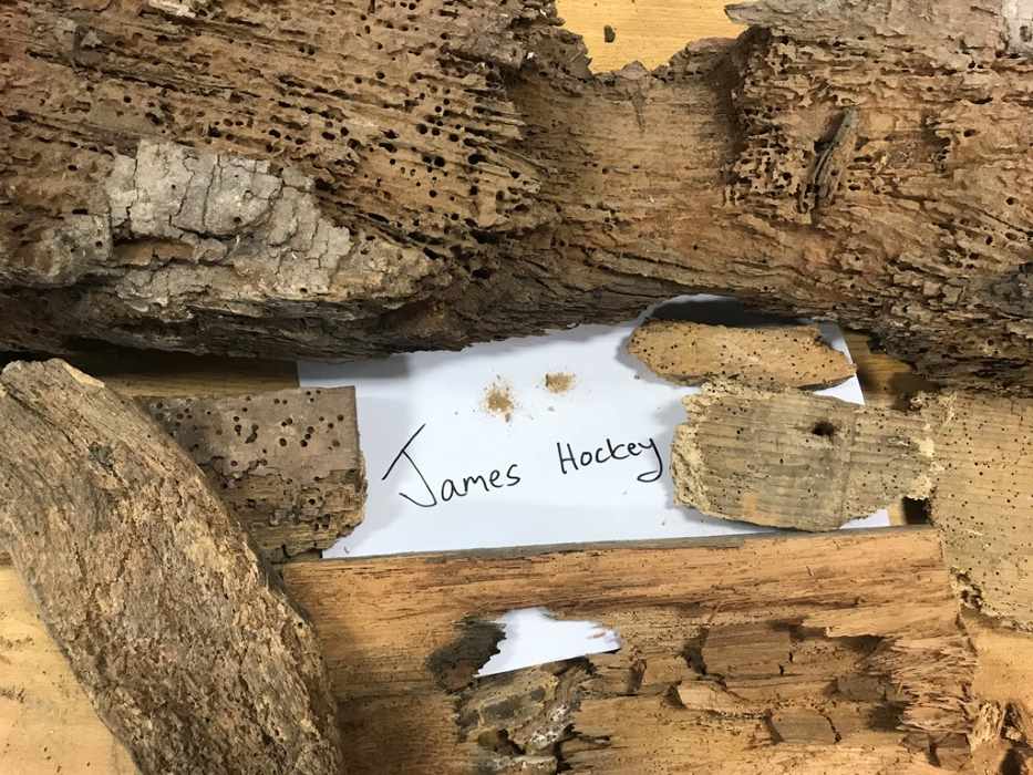 BS8102 (2022) guide to the NEW environmental grades (table 2)