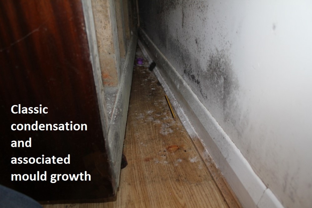Best Methods for Preventing Condensation and Mould