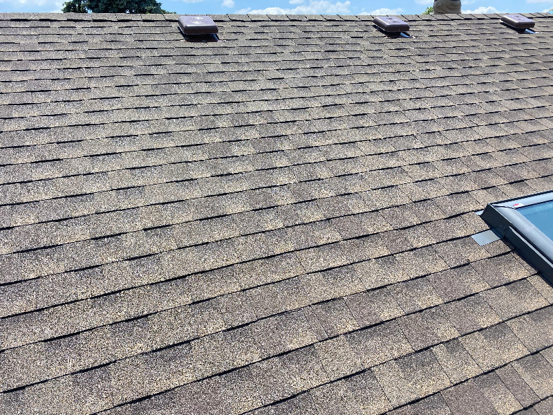 The Cape Cod | Feze Roofing Blog