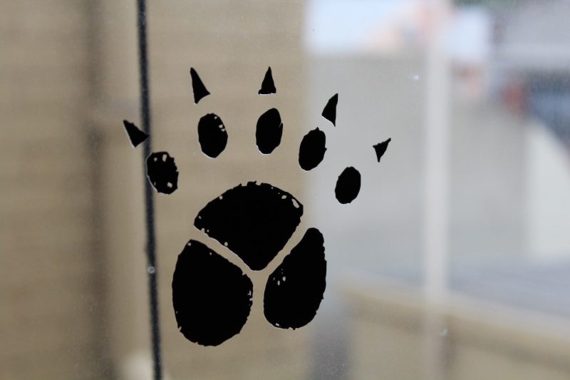 About us | Wombat Housing & Support Services