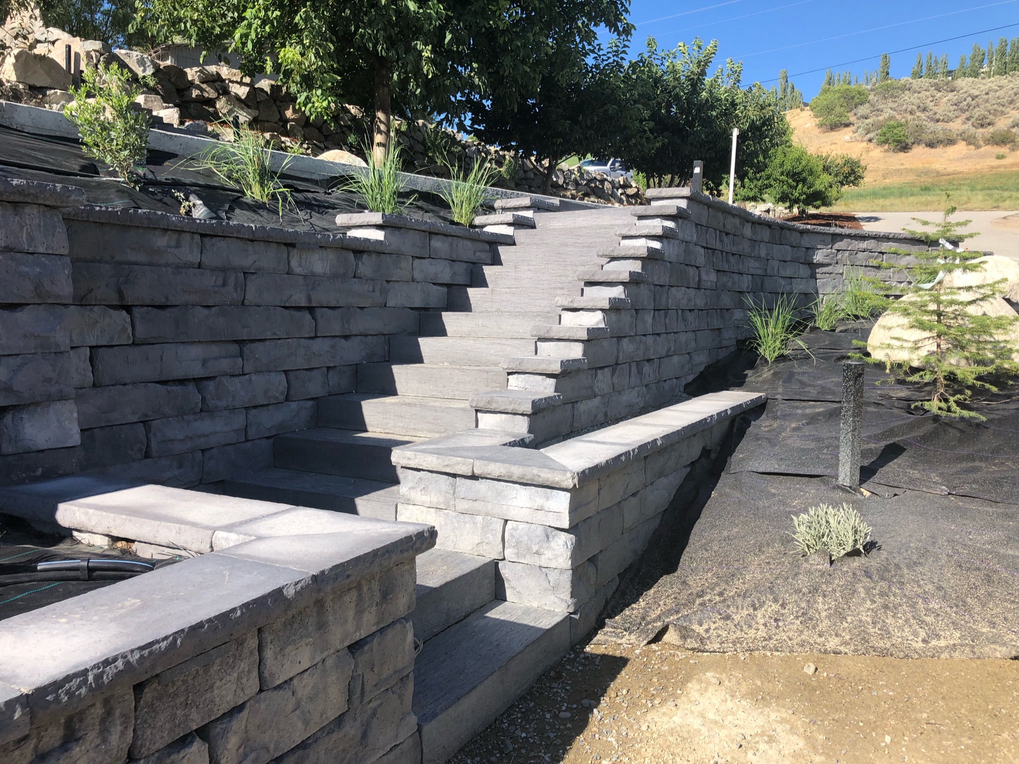 Stria Steps | Castohn