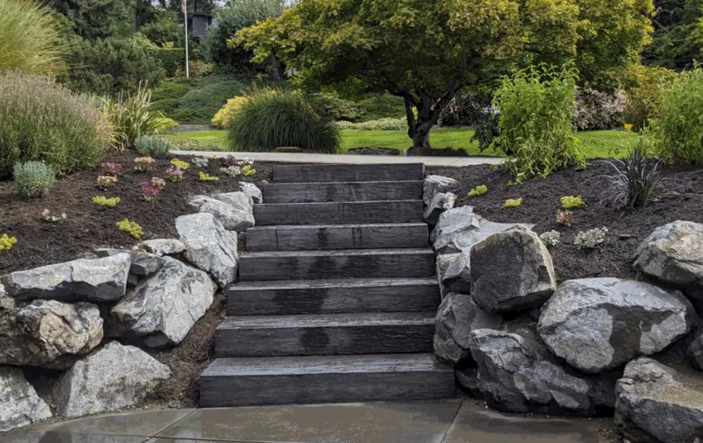 Stria Steps | Castohn