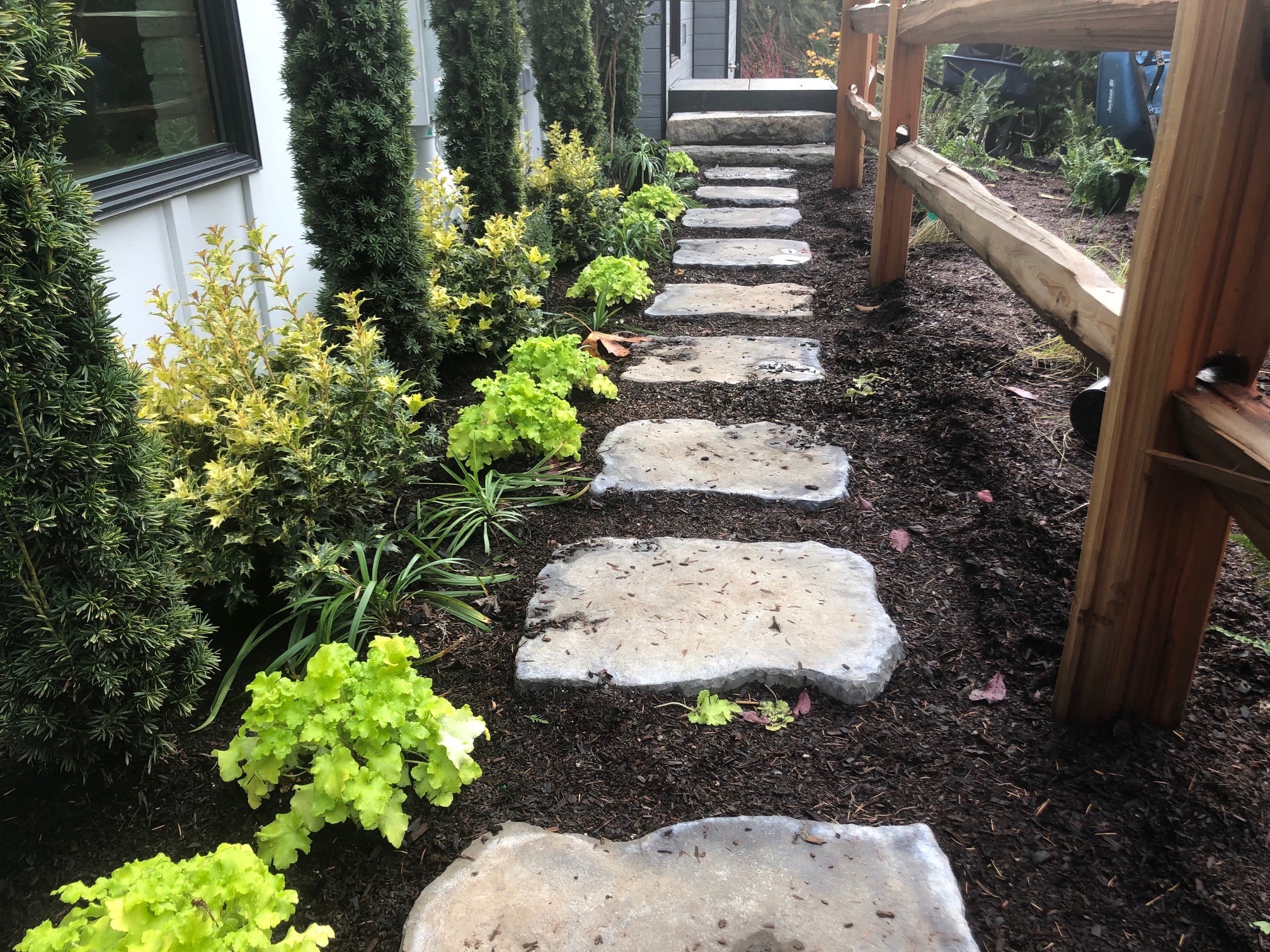 Path & Stepping Stones | Castohn