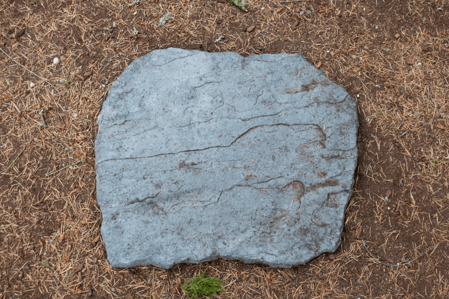 Path & Stepping Stones | Castohn