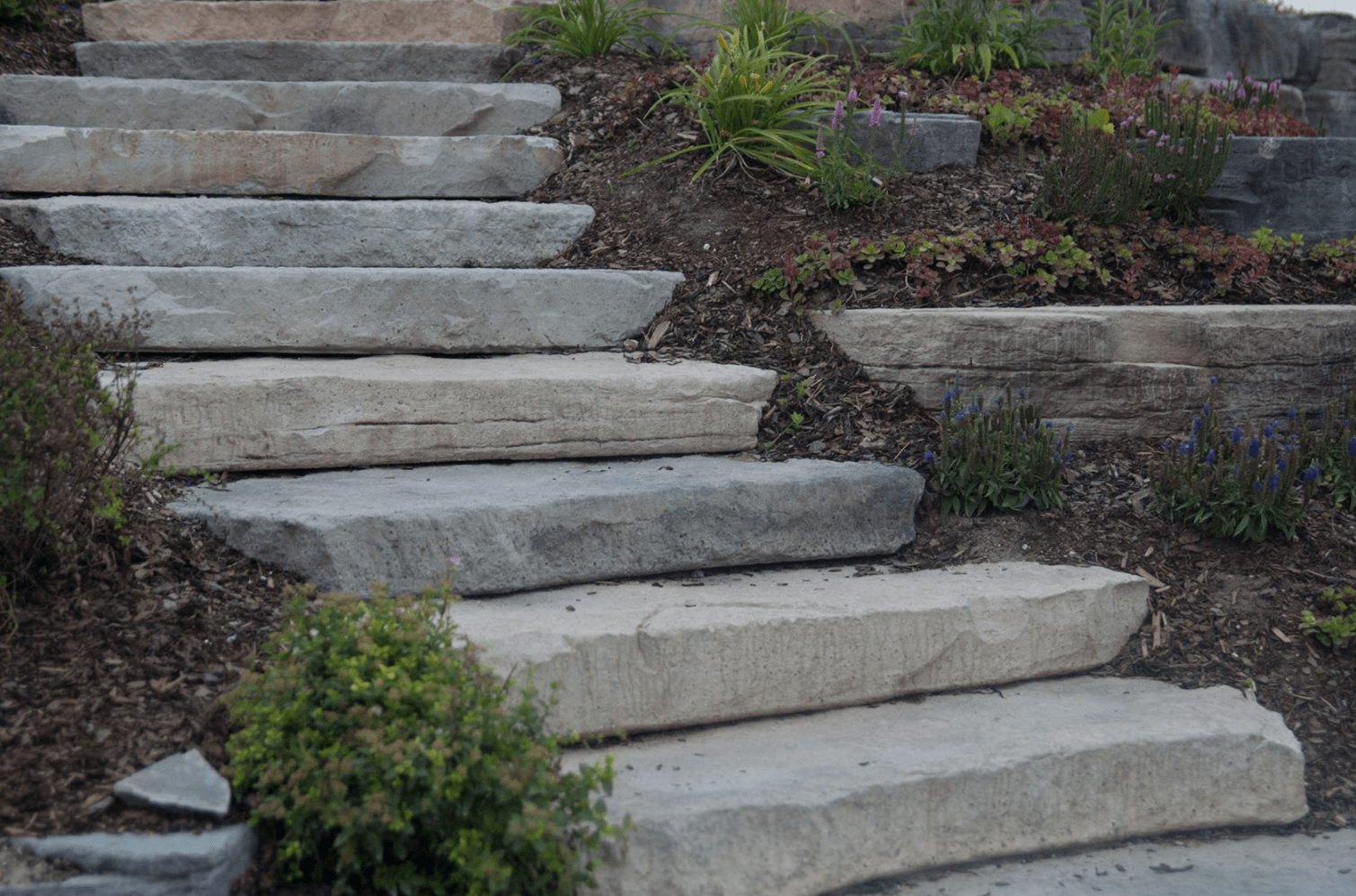 Irregular Steps | Castohn