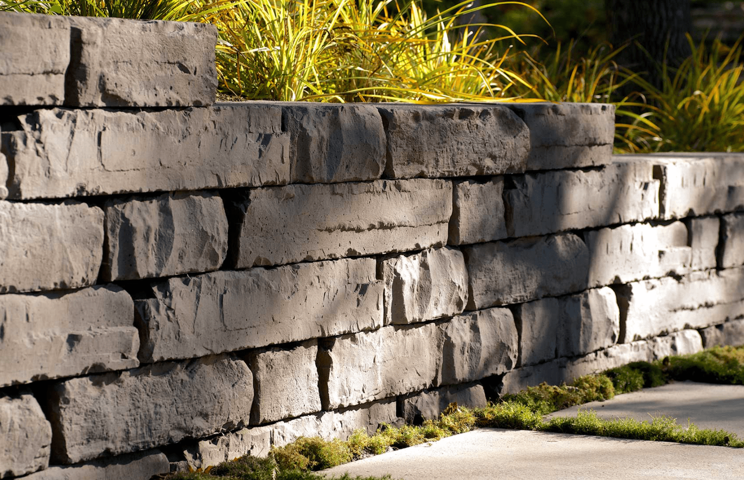 Kodah Wall | Castohn