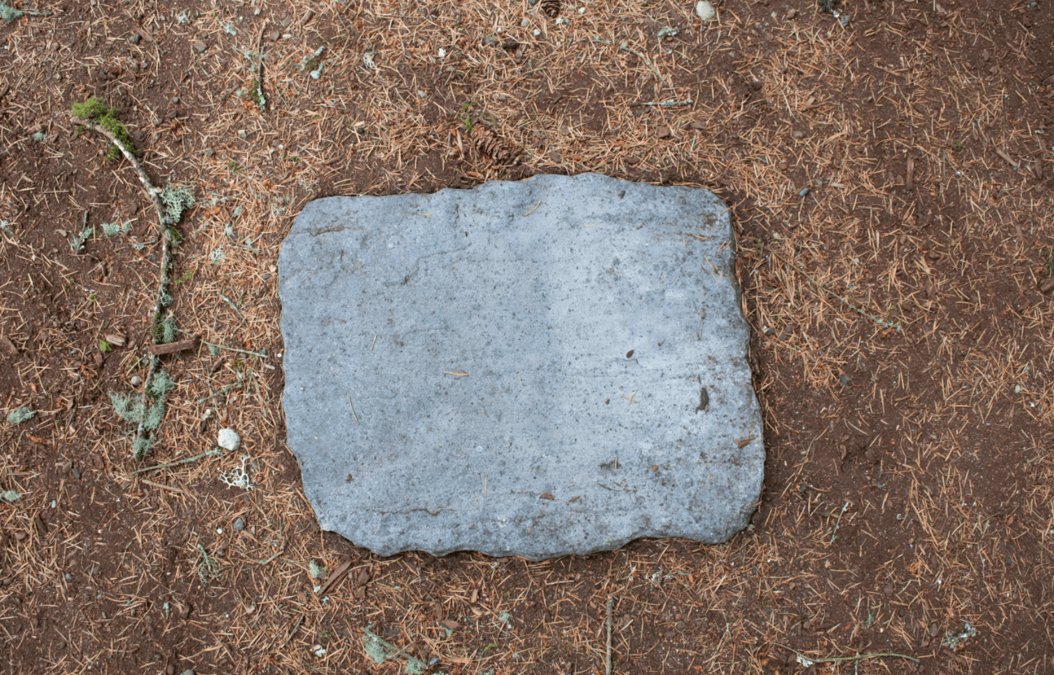 Path & Stepping Stones | Castohn