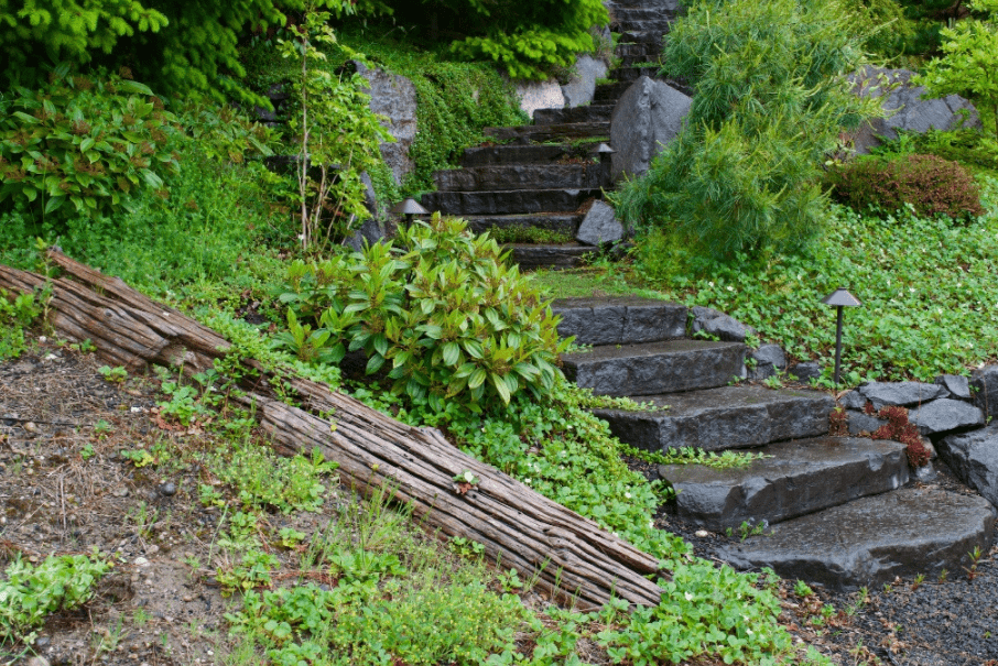 Irregular Steps | Castohn