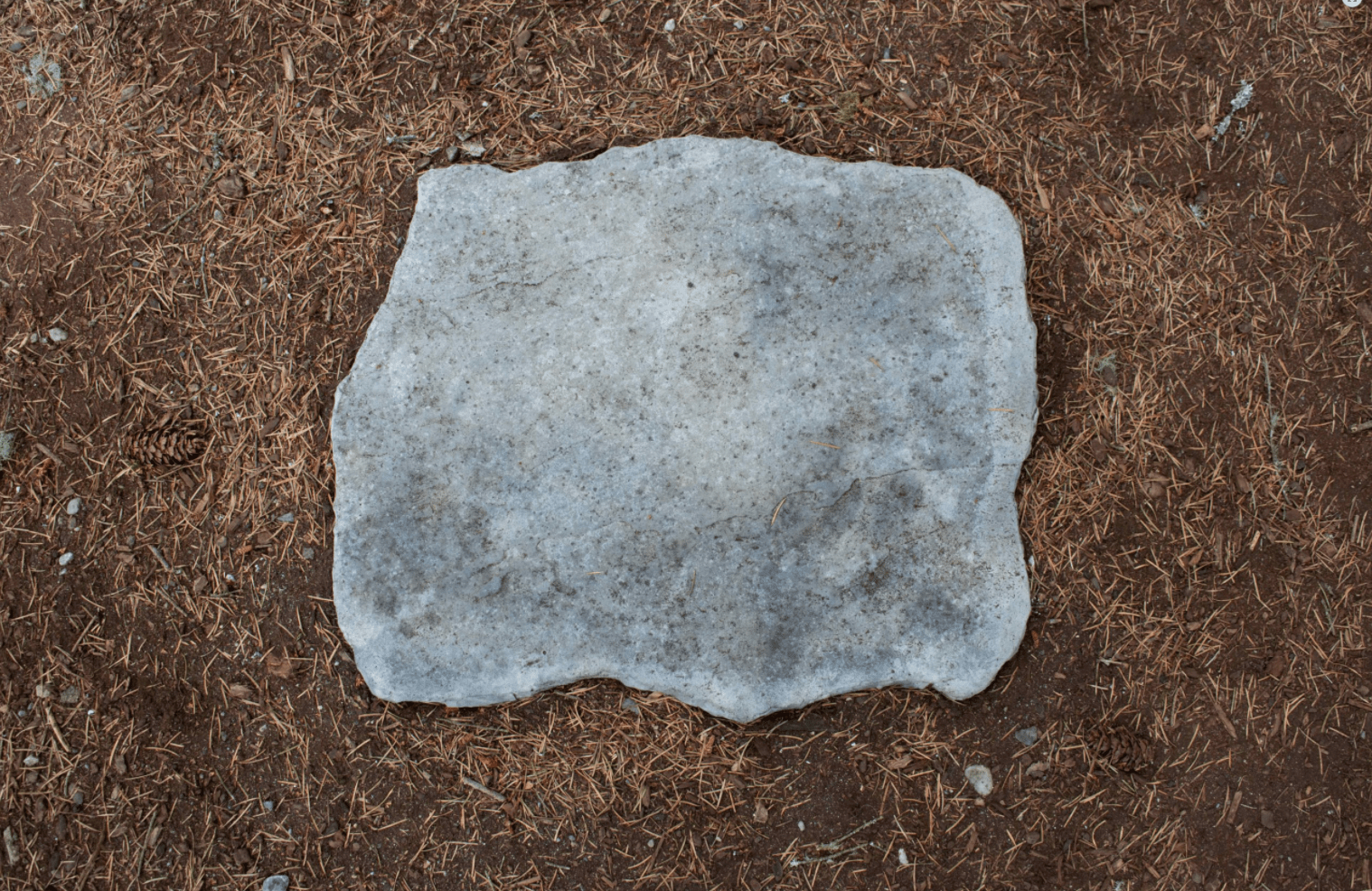 Path & Stepping Stones | Castohn