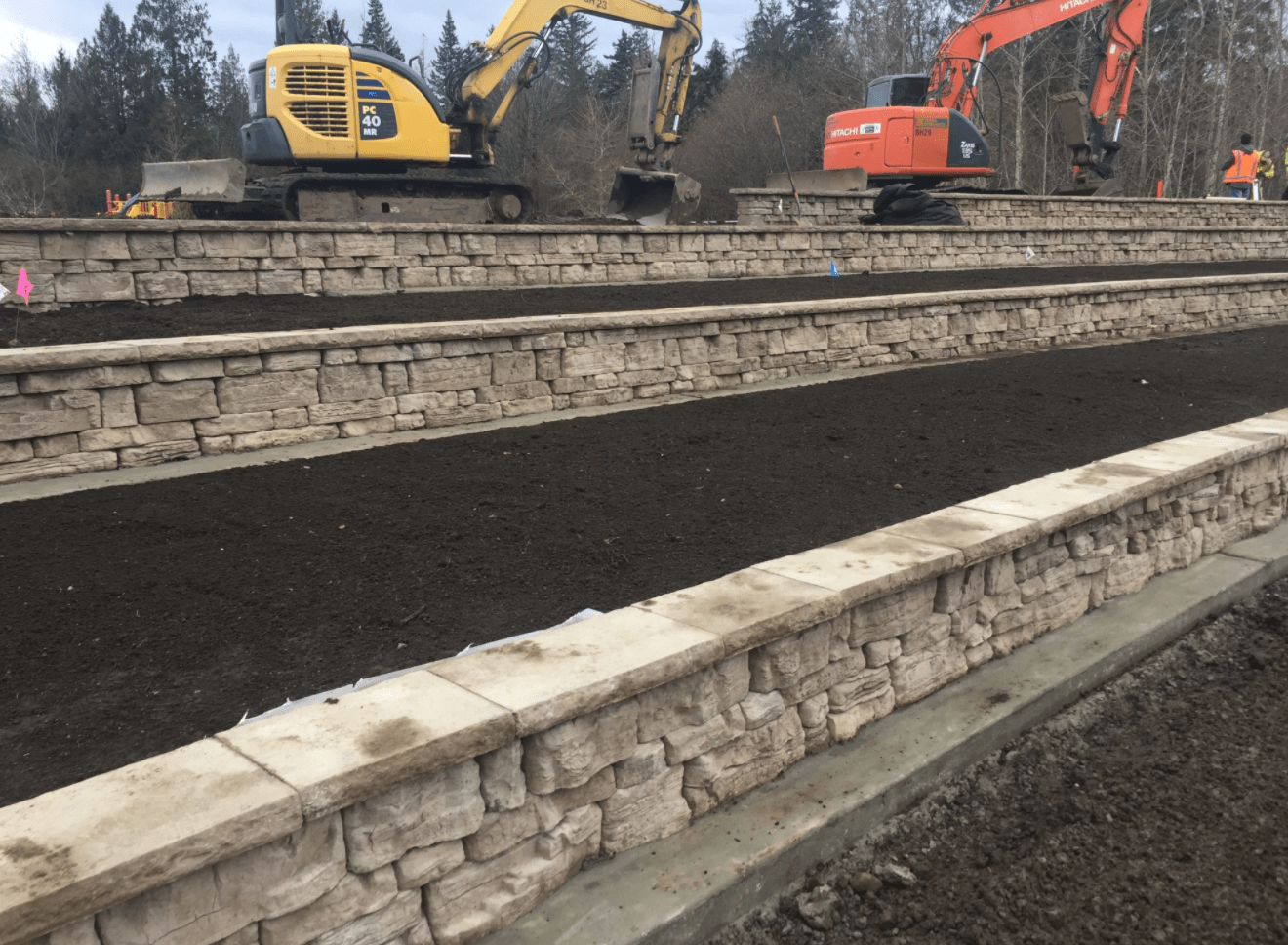 Belvedere Wall | Castohn