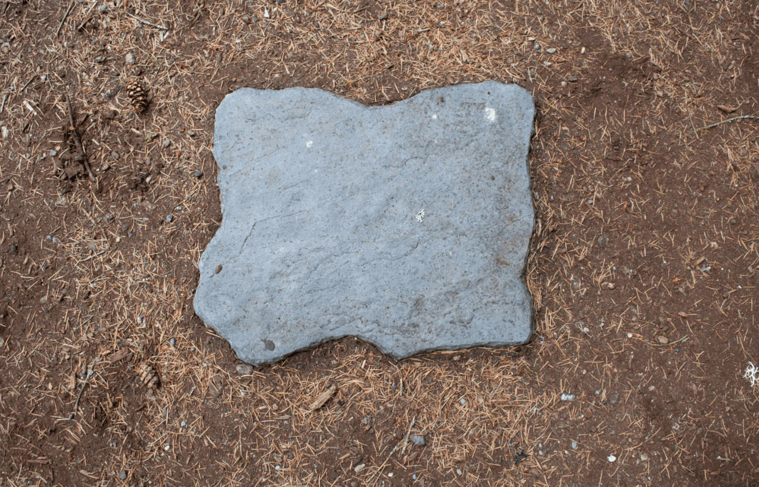 Path & Stepping Stones | Castohn