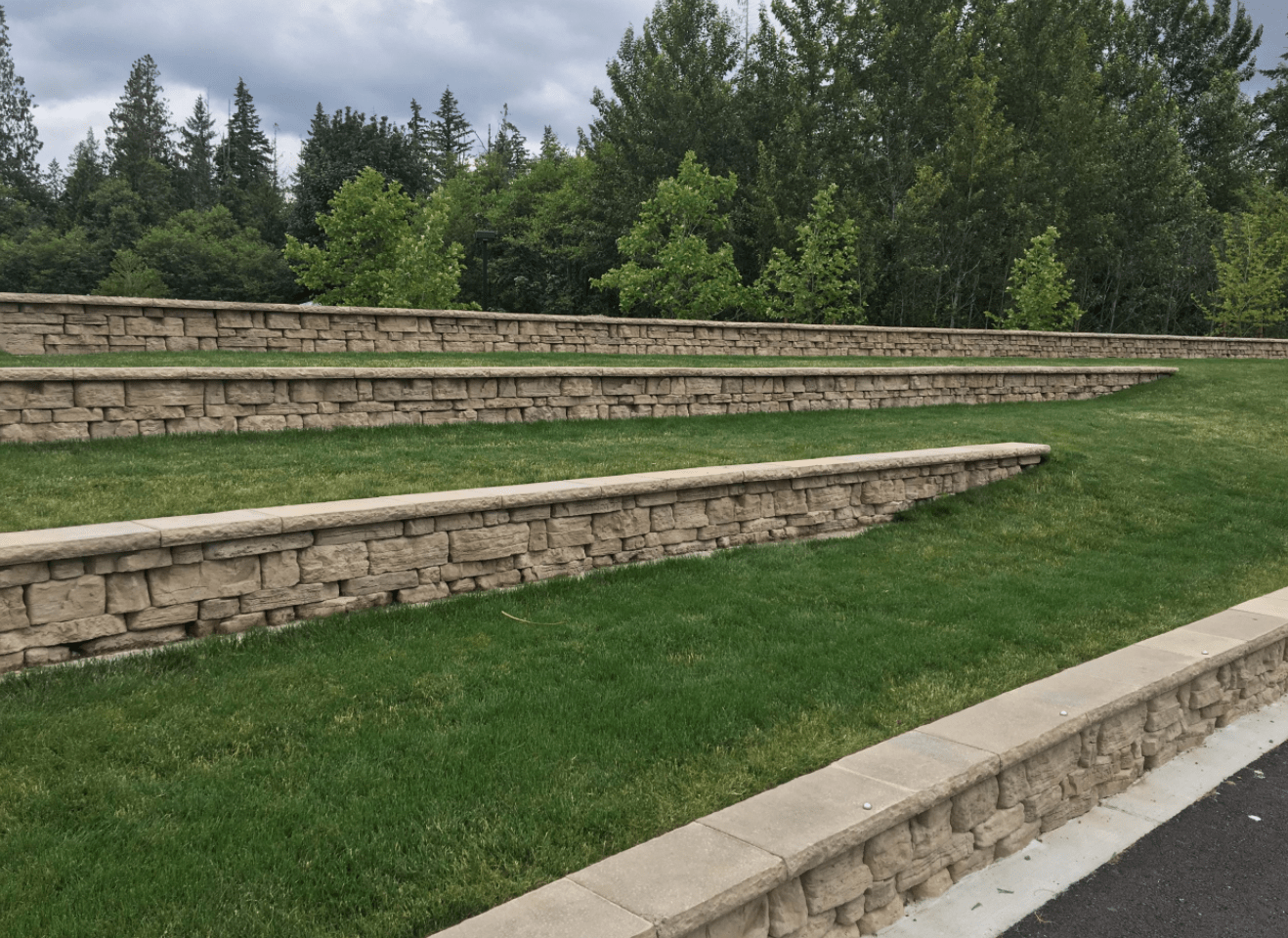 Belvedere Wall | Castohn