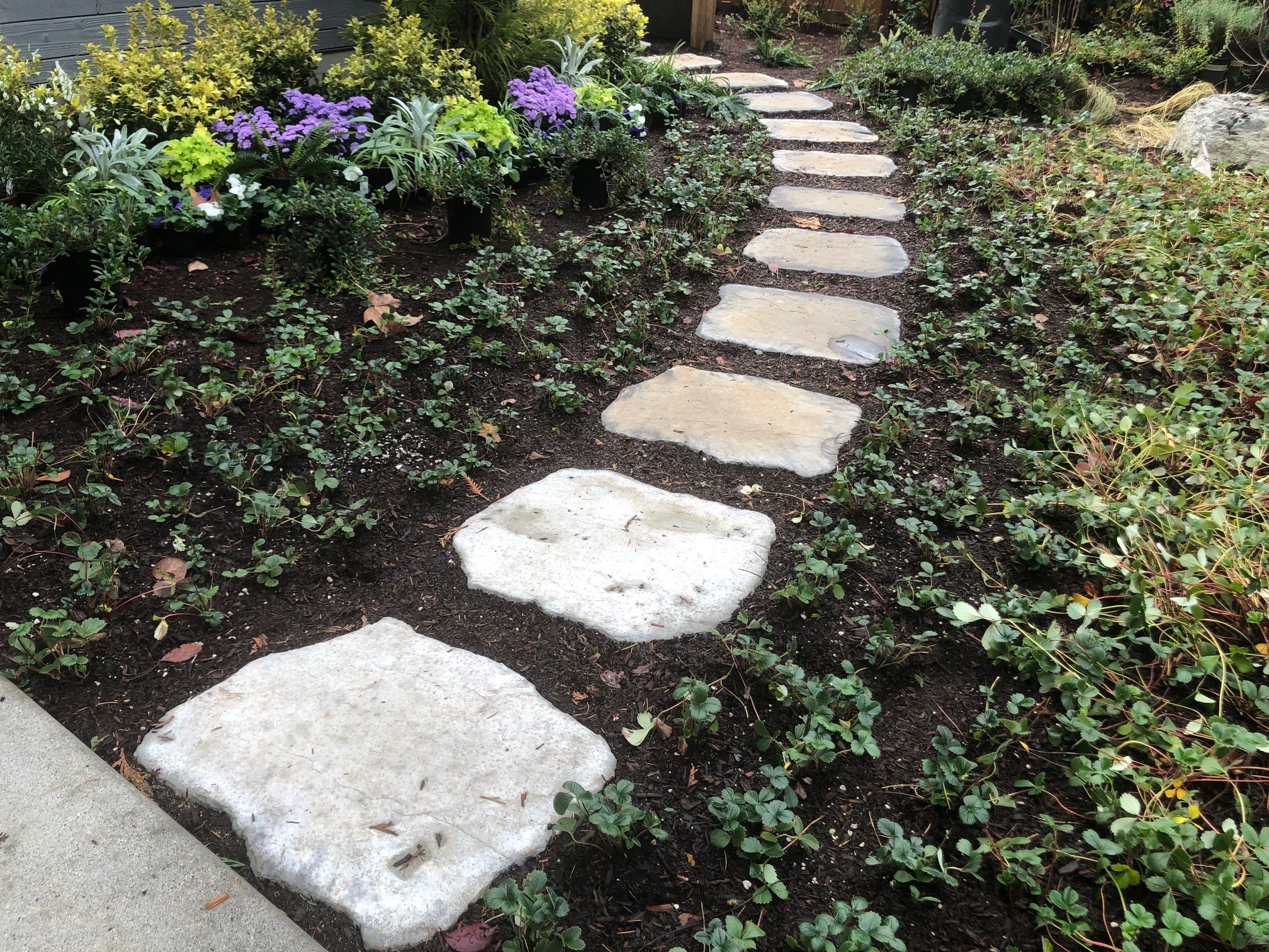 Path & Stepping Stones | Castohn