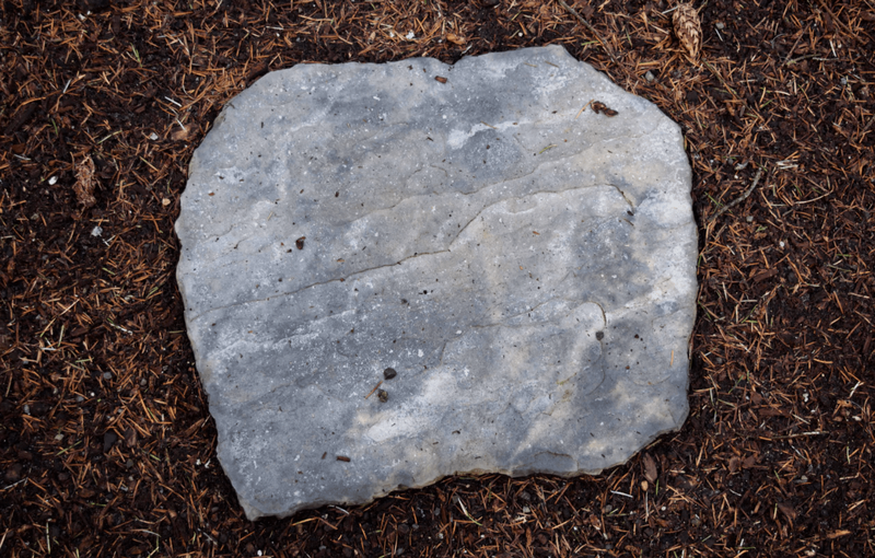 Path & Stepping Stones | Castohn