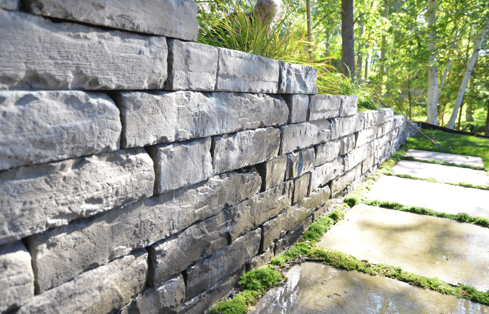 Kodah Wall | Castohn