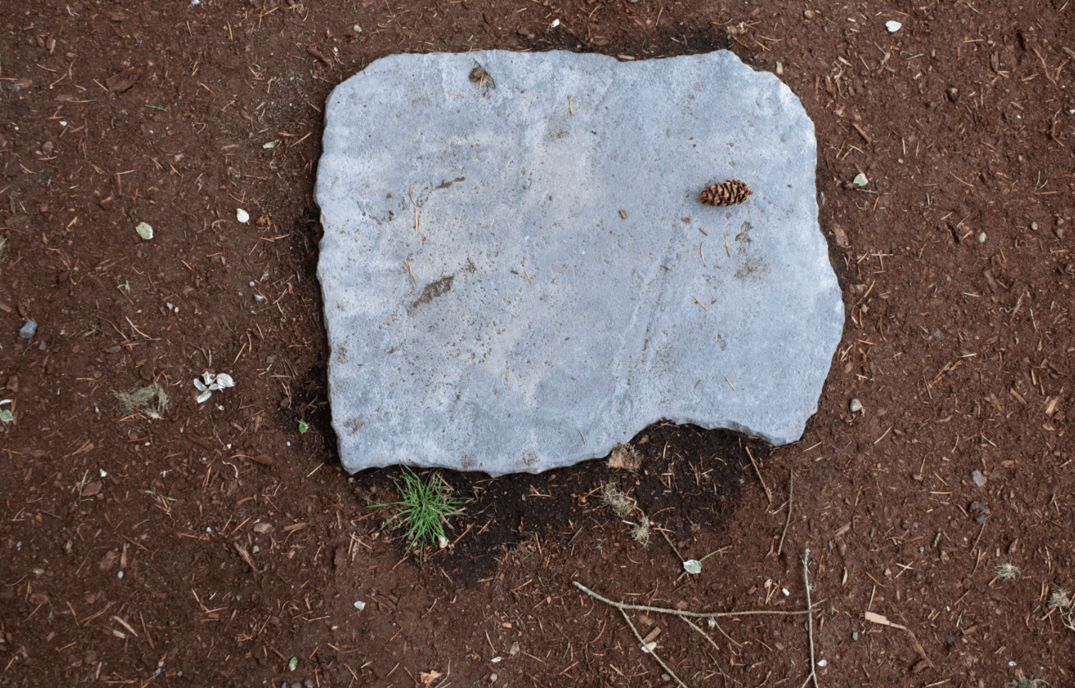 Path & Stepping Stones | Castohn