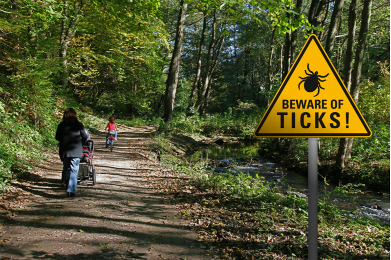 Tick Tips | Mount Sinai Parenting Center