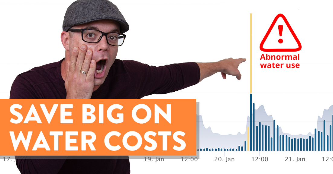 See Abnormal Water Usage To Save Big Now