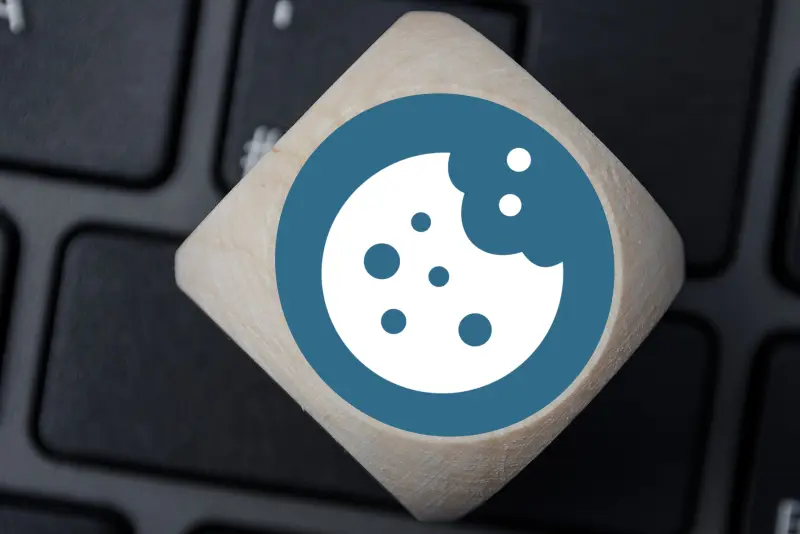 How eCommerce Marketers Can Survive and Thrive in a Cookieless Future ...