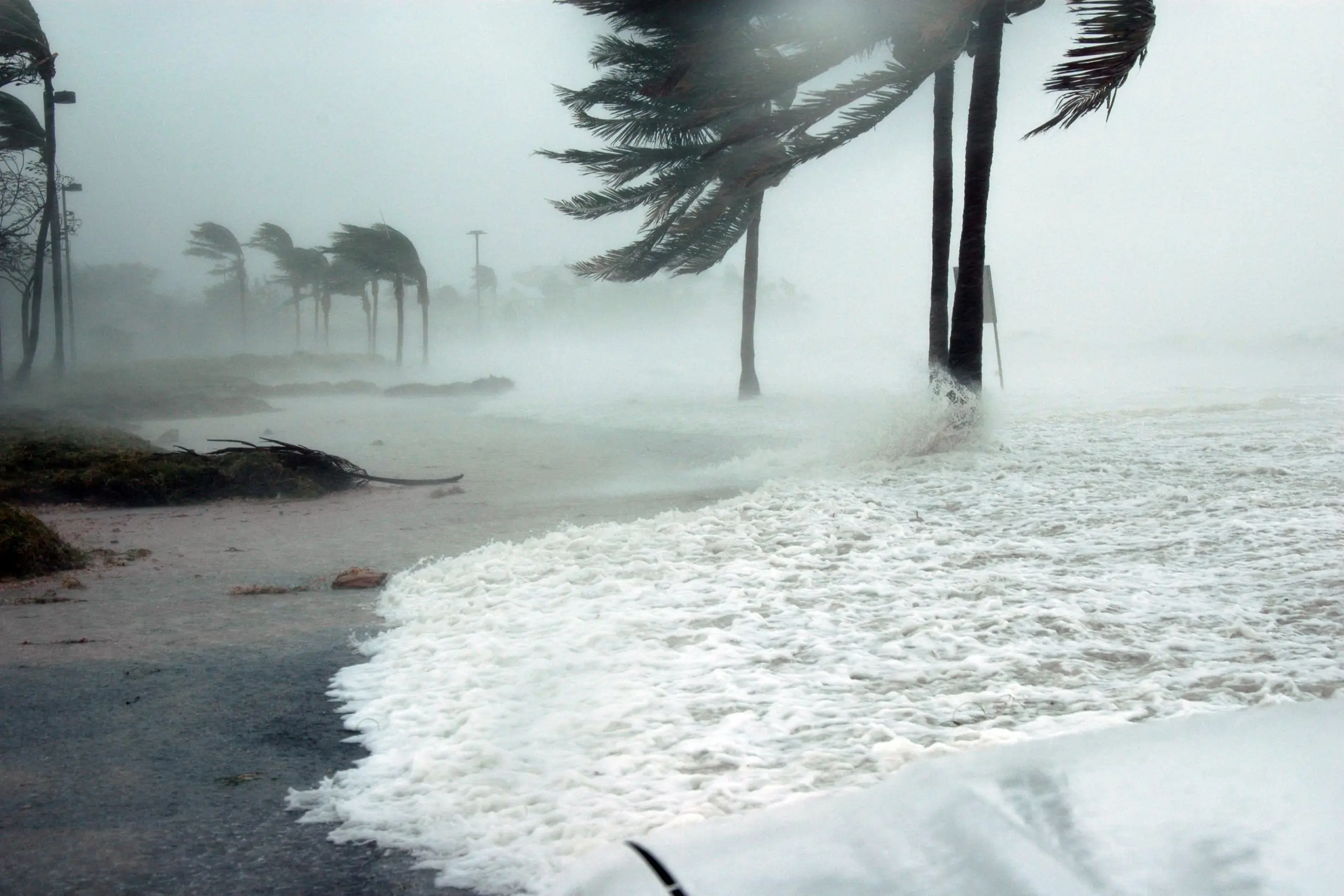 Climate Resilience Hubs: Building Communities That Withstand the Storms ...