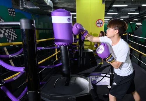 BotBoxer | Smart Boxing Machine for an Ultimate Workout