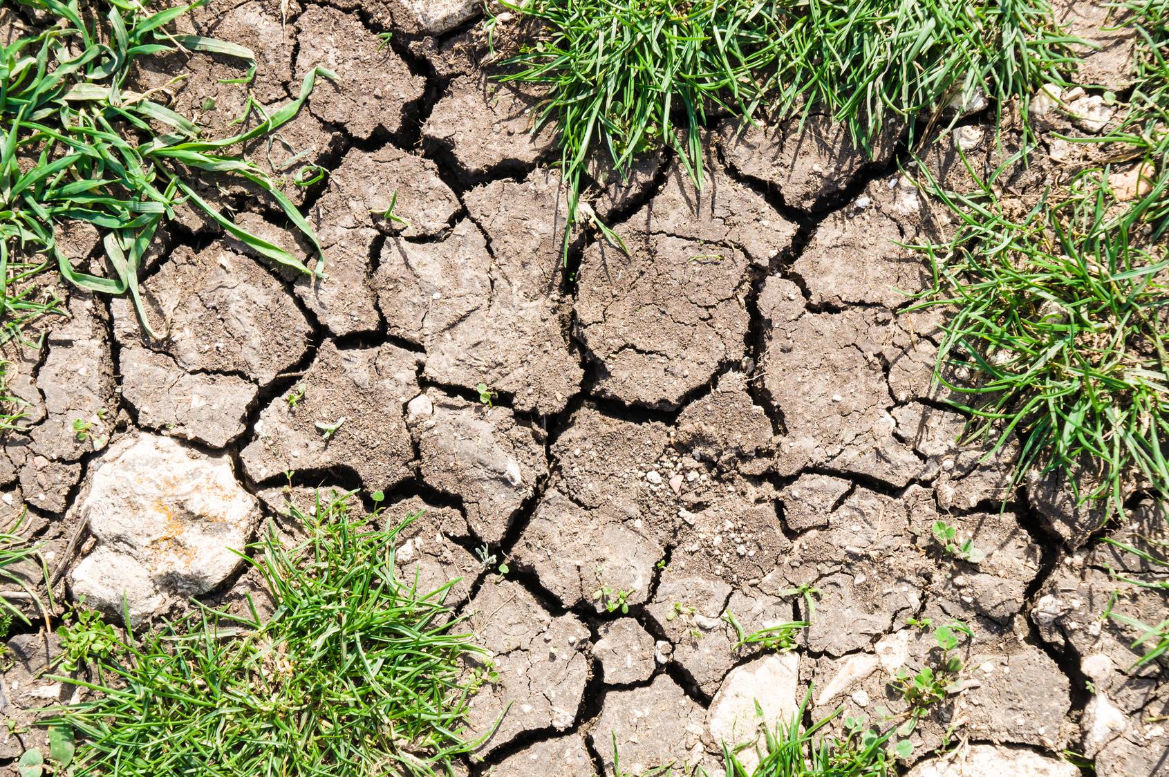 Understanding Colorado’s Unique Expansive Soil