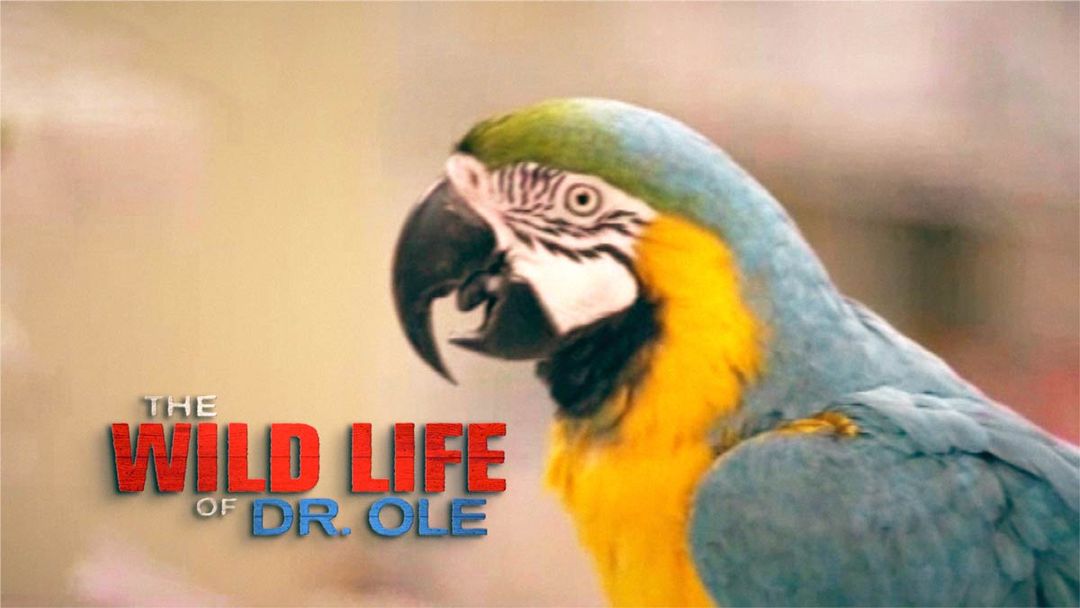 High Noon Entertainment Shows - The Wild Life of Dr. Ole