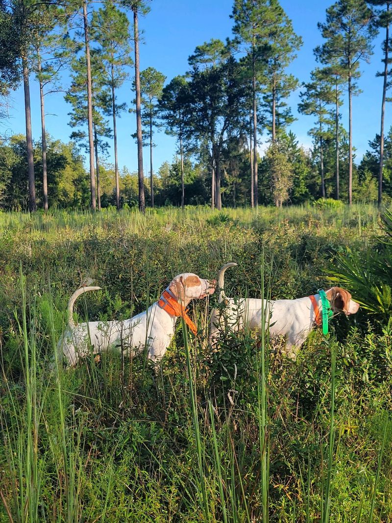 Gilchrist Club - Prod