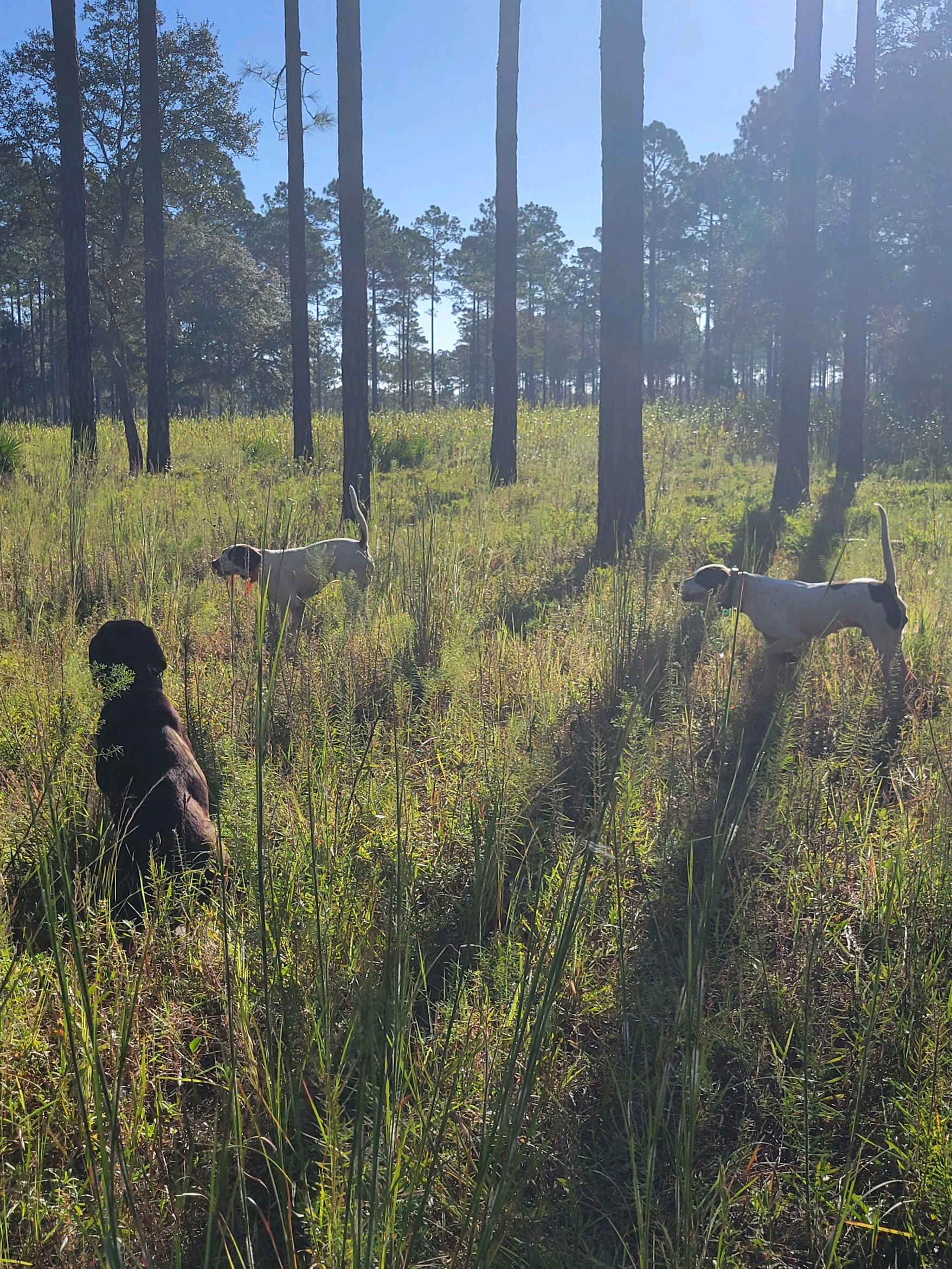 Gilchrist Club - Prod