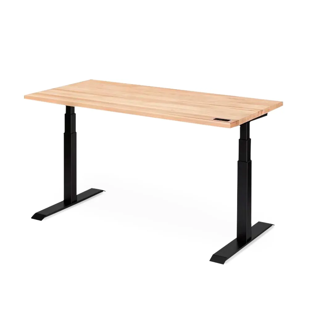Segern | Ergonofis Sway Desk, Sit-stand Desk