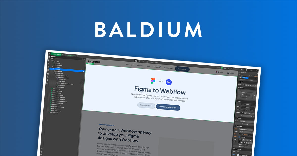 Login to your client area | Baldium