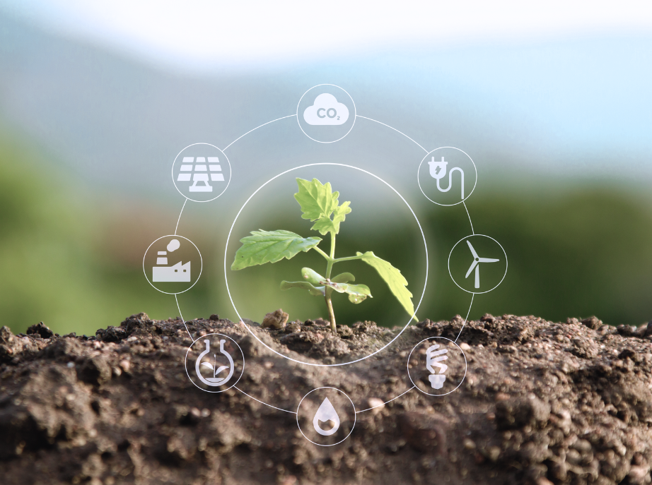 Energy Optimizer: Optimise energy costs in a volatile energy market