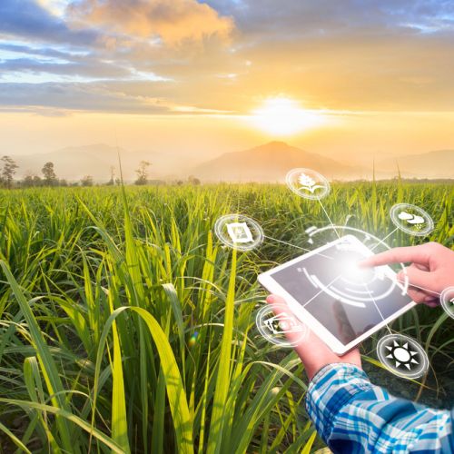 Viaanix Solutions | Smart Agriculture