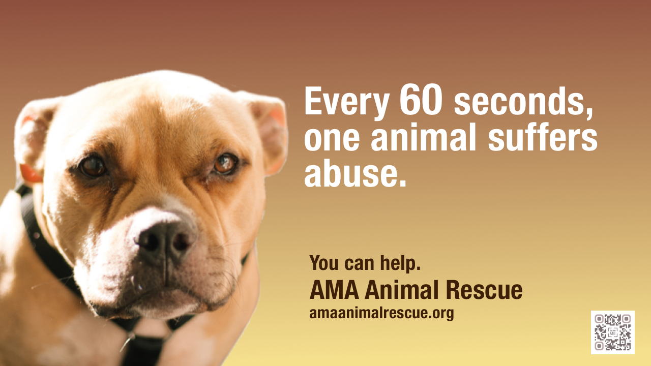 AMA Animal Rescue | Animal Rescue