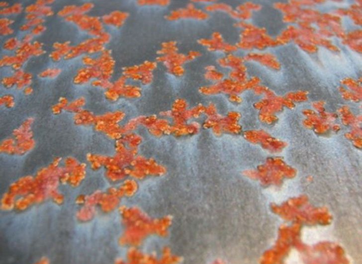 Stainless Steel and Rust Deterioration