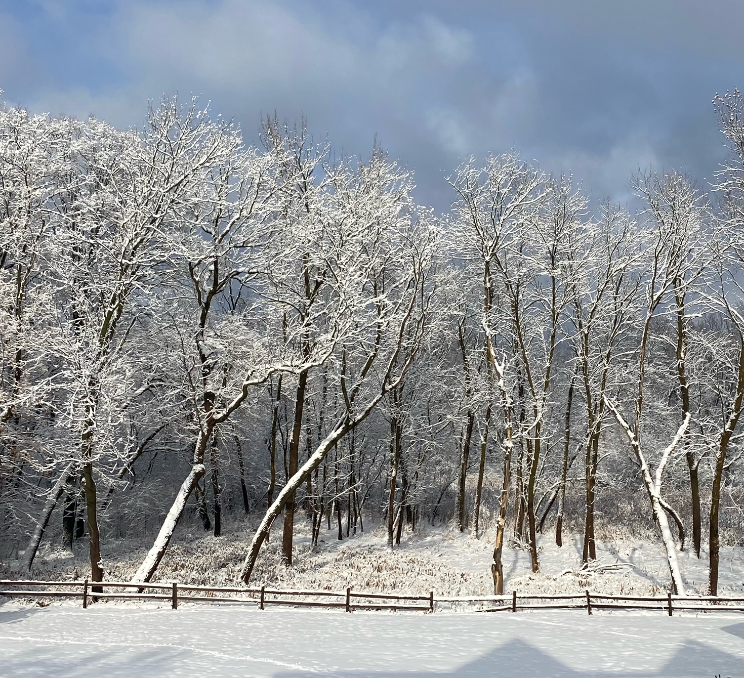 Benefits of a Recessed Mat