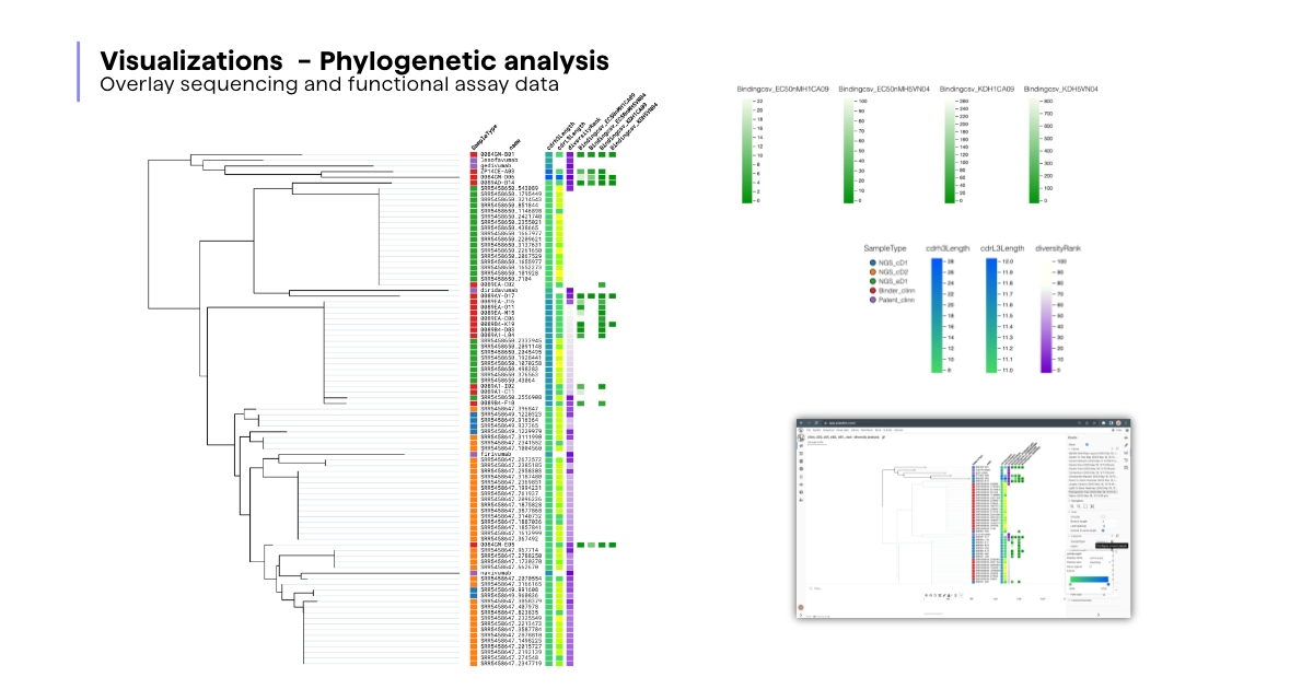 Hit picking best candidate sequences from repertoire
