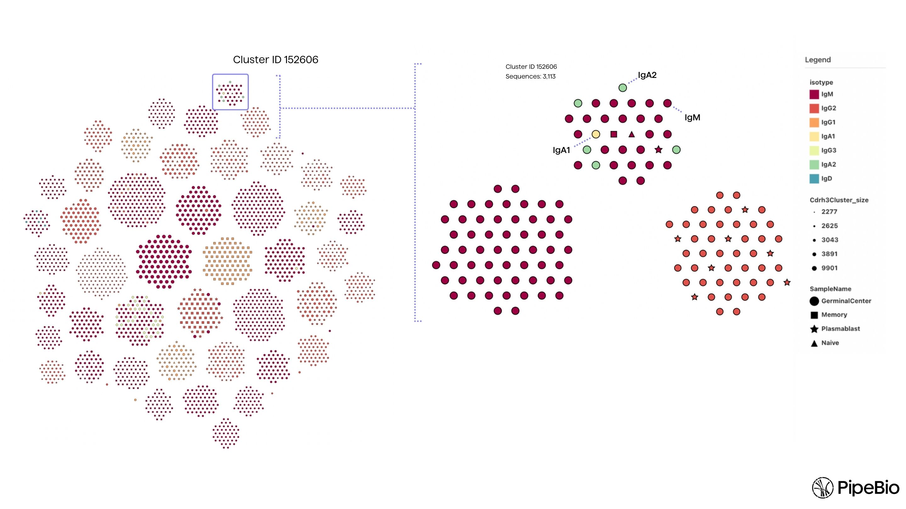 Single cell sequencing and data analysis on PipeBio
