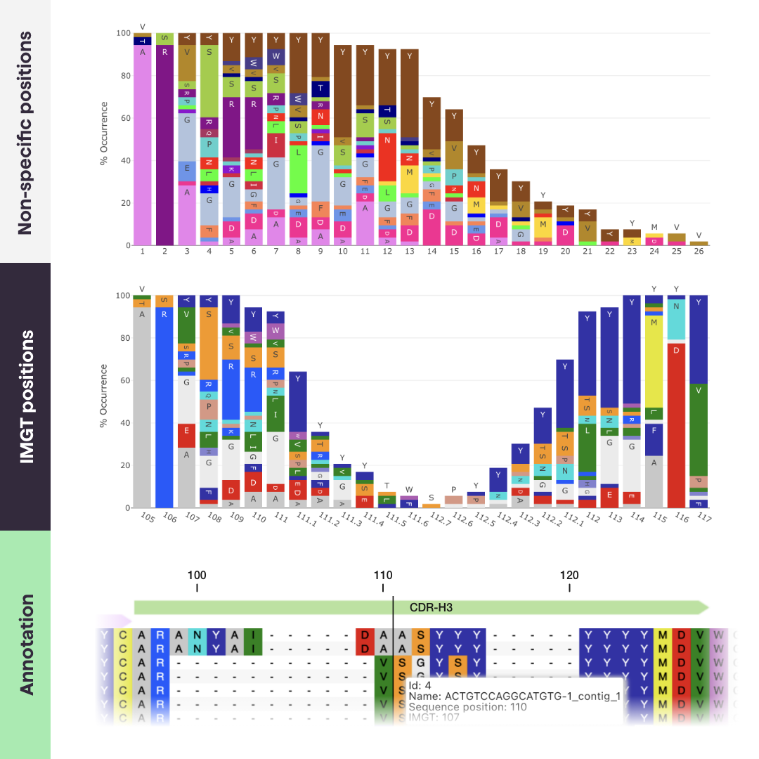 Antibody numbering schemes and CDR definitions