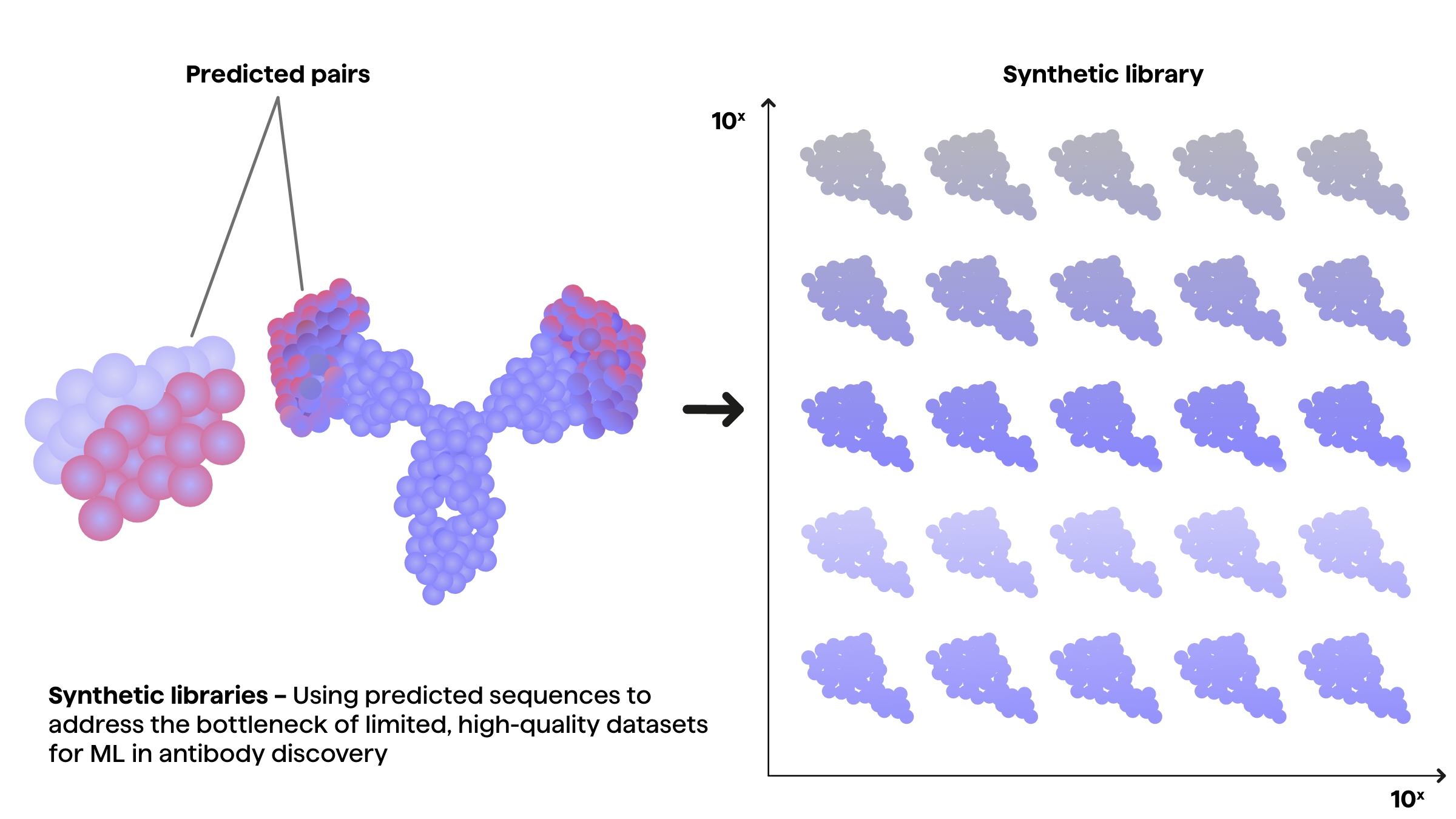 Machine learning in antibody discovery and engineering