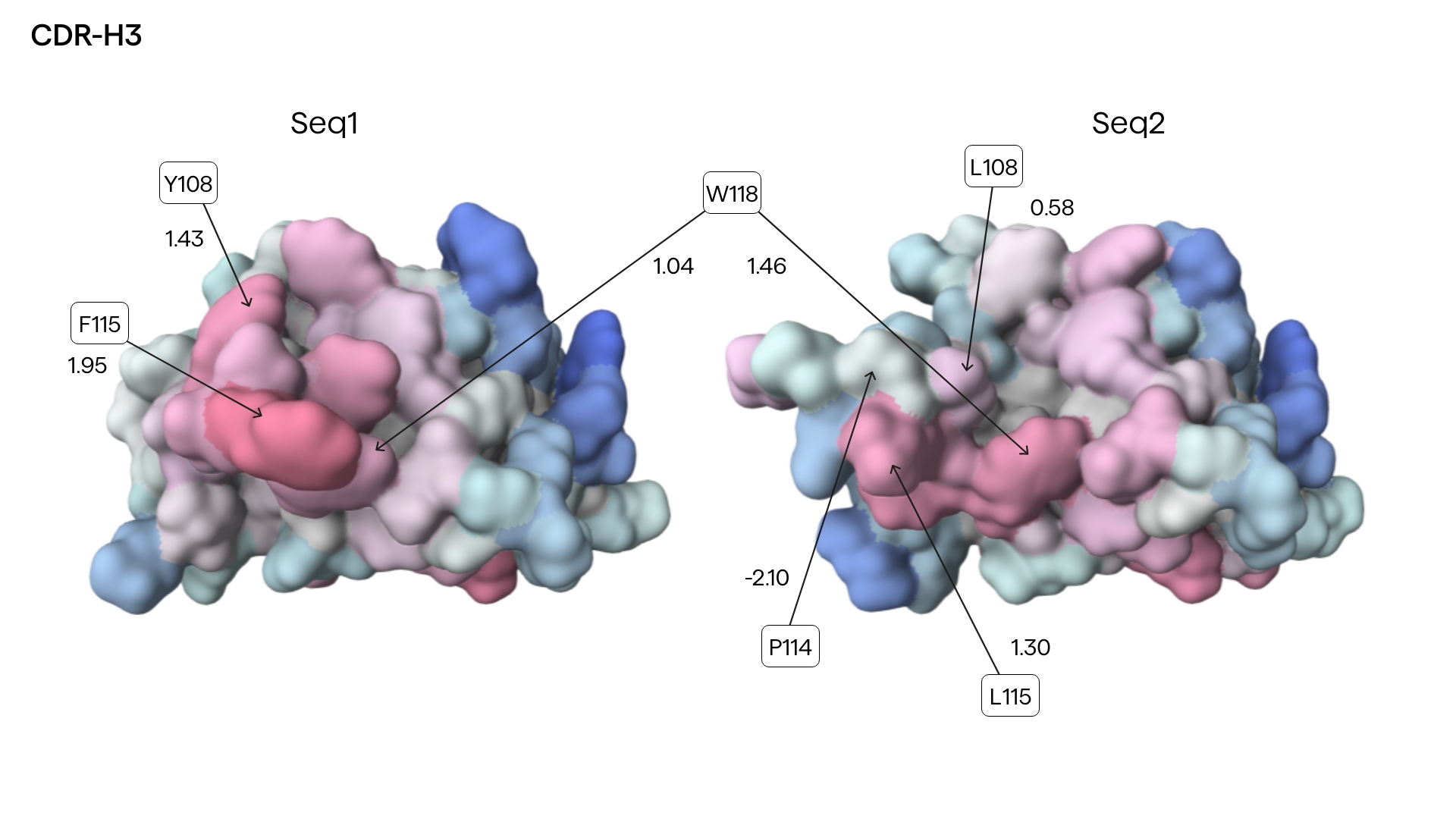 Developability Predictions in Therapeutic Antibody Discovery