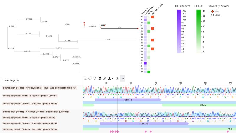 Sanger sequence analysis of antibodies