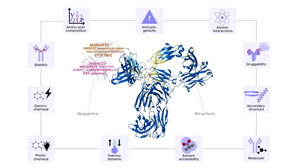 Antibody Library Design