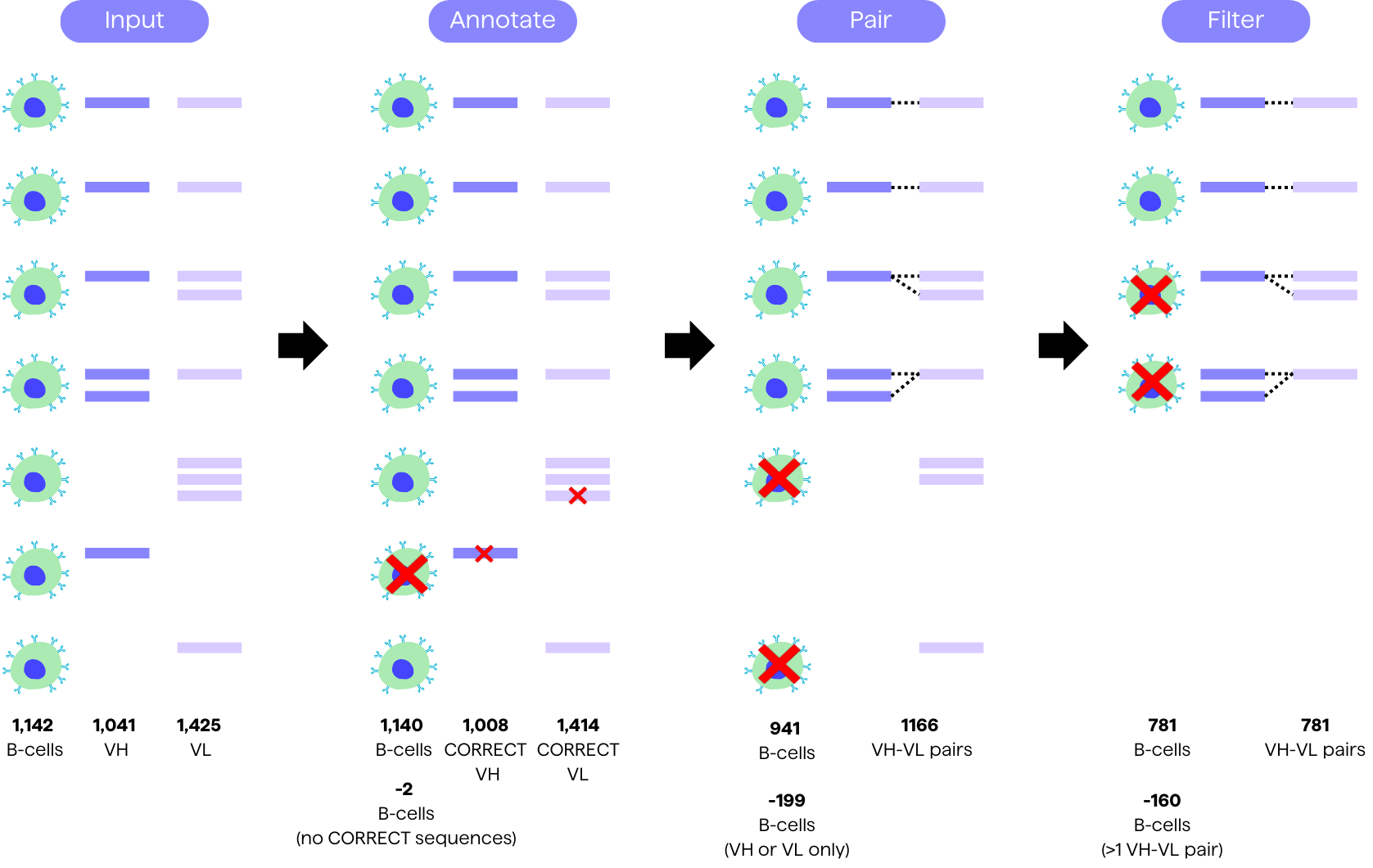 Bruker Cellular Analysis Beacon® Data in PipeBio Software